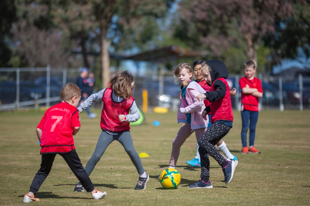 BSSC JUNIOR TEAMS 2024 – Bayswater Strikers Soccer Club
